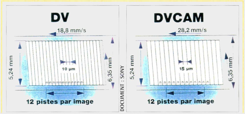 Quelles Différences Entre Le DV Et Le DVCam | Saga 8mm